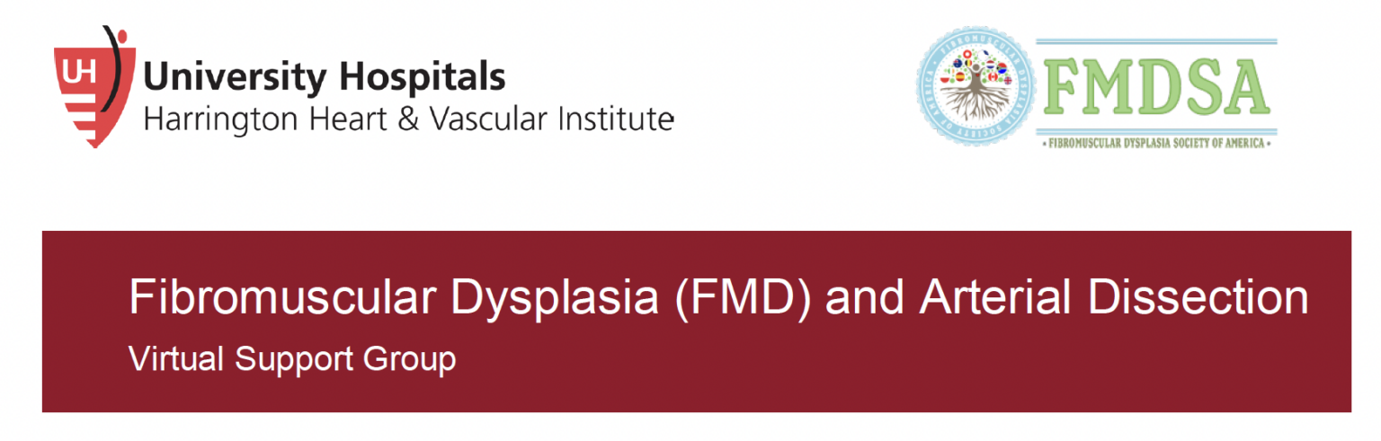 FMDSA