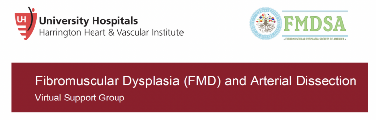 FMDSA